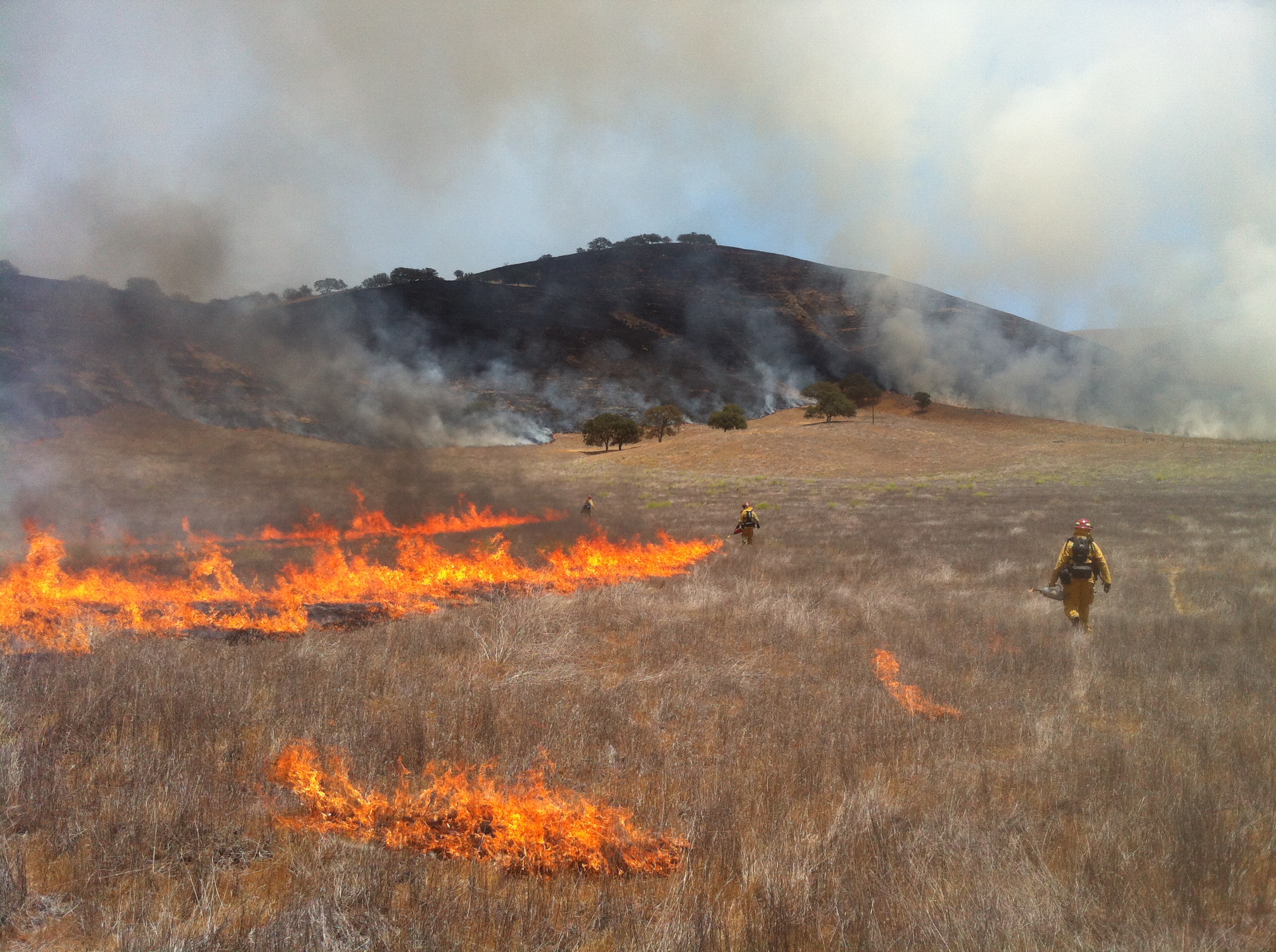 Burn Boss Resources - The Healthy Forest Alliance Foundation